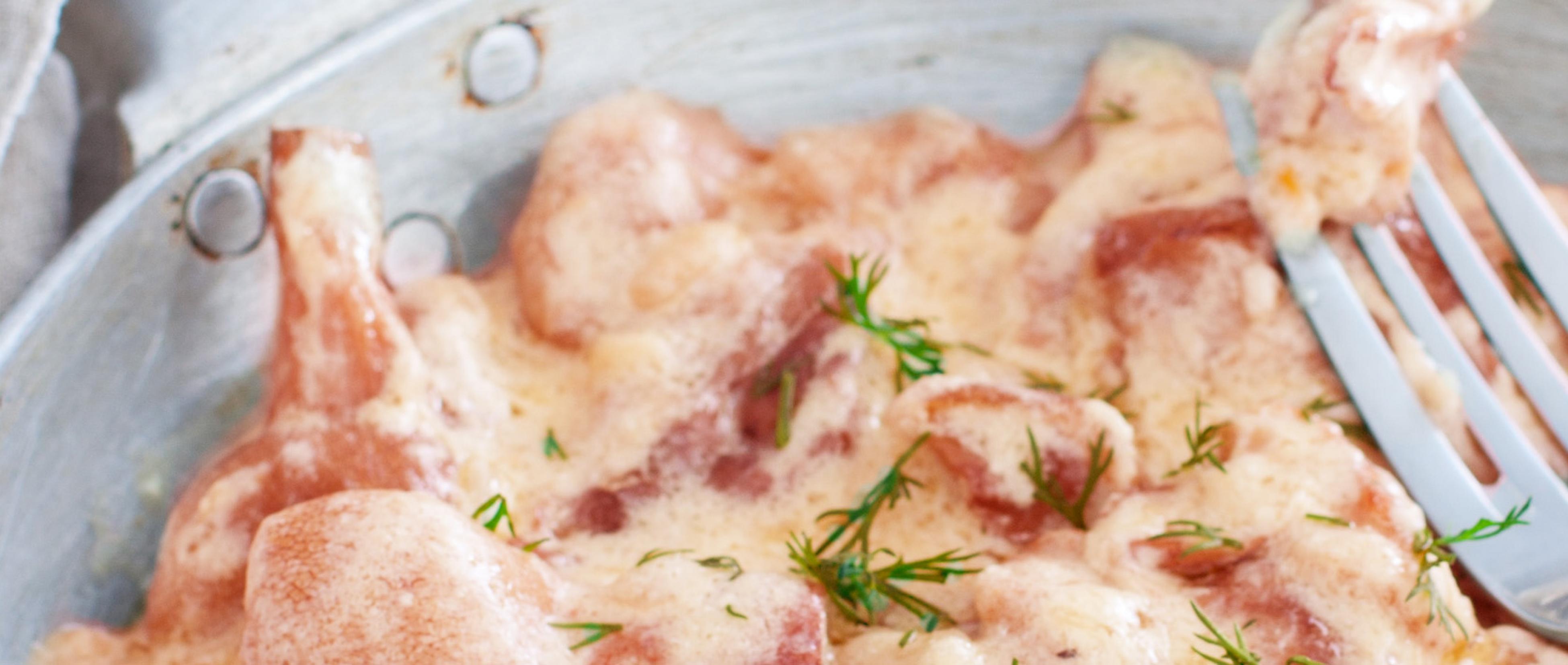 Varkensgyros met sojascheuten | Alvo